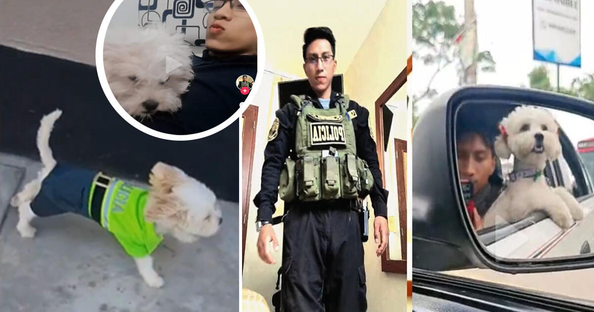Qué pasó con la perrita del asesino Darwin Condori: exigen saber su ...