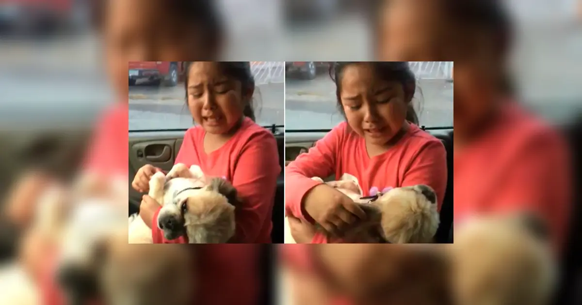 "¡Parece un puerco!" Niña llora de decepción tras el corte de pelo de ...