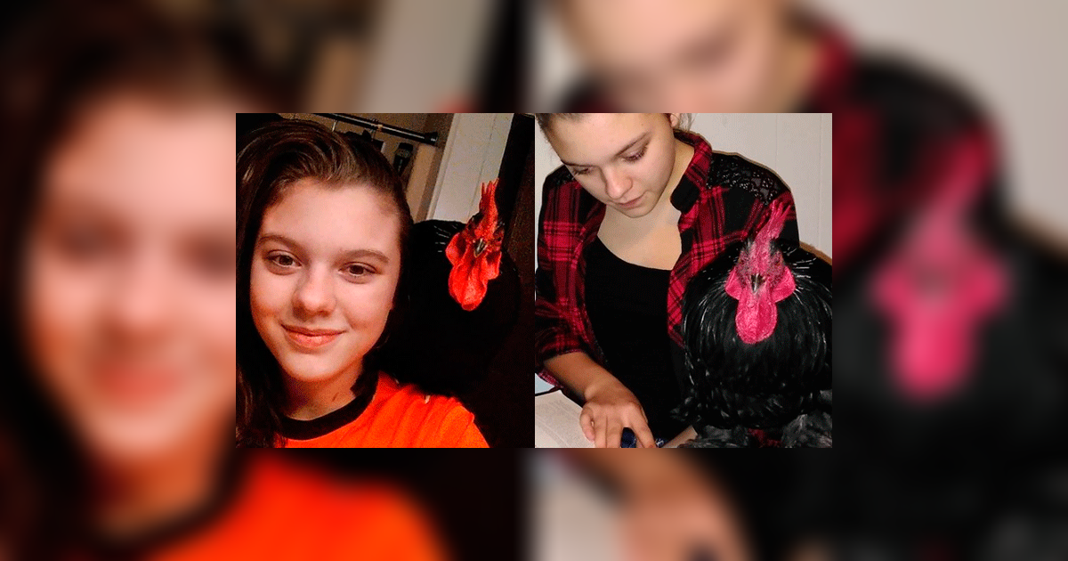 Niña demuestra que el gallo es "el mejor amigo del hombre", ¿y el perro?