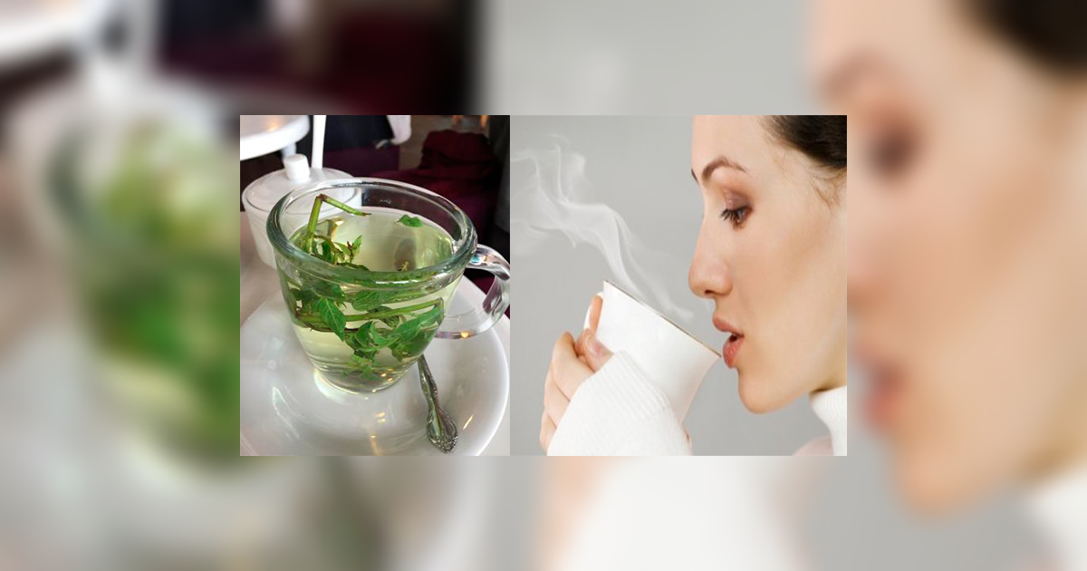 Cinco beneficios de la Muña que no conocías