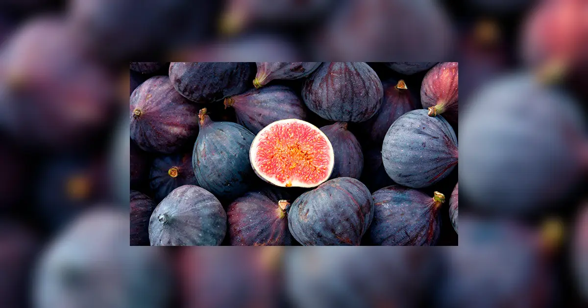 Siete sorprendentes beneficios del higo que seguramente no conocías