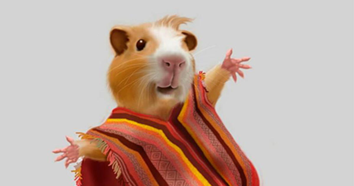 Todo sobre el cuy: 12 curiosidades que aún no conoces