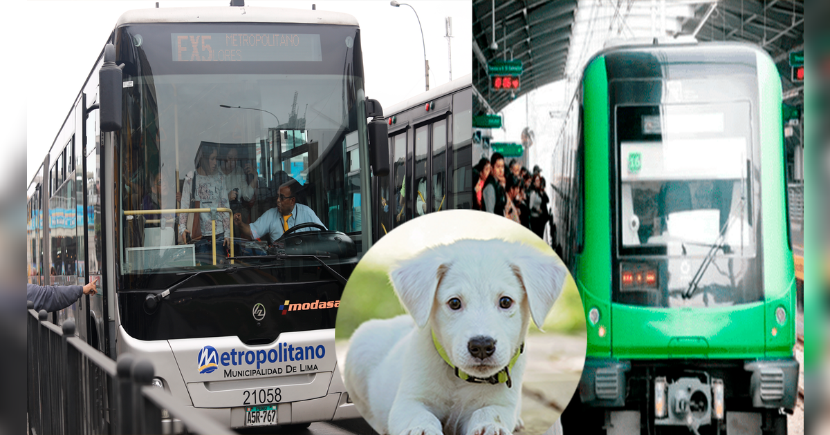 Todos los datos para viajar con tu mascota en el Metro de Lima