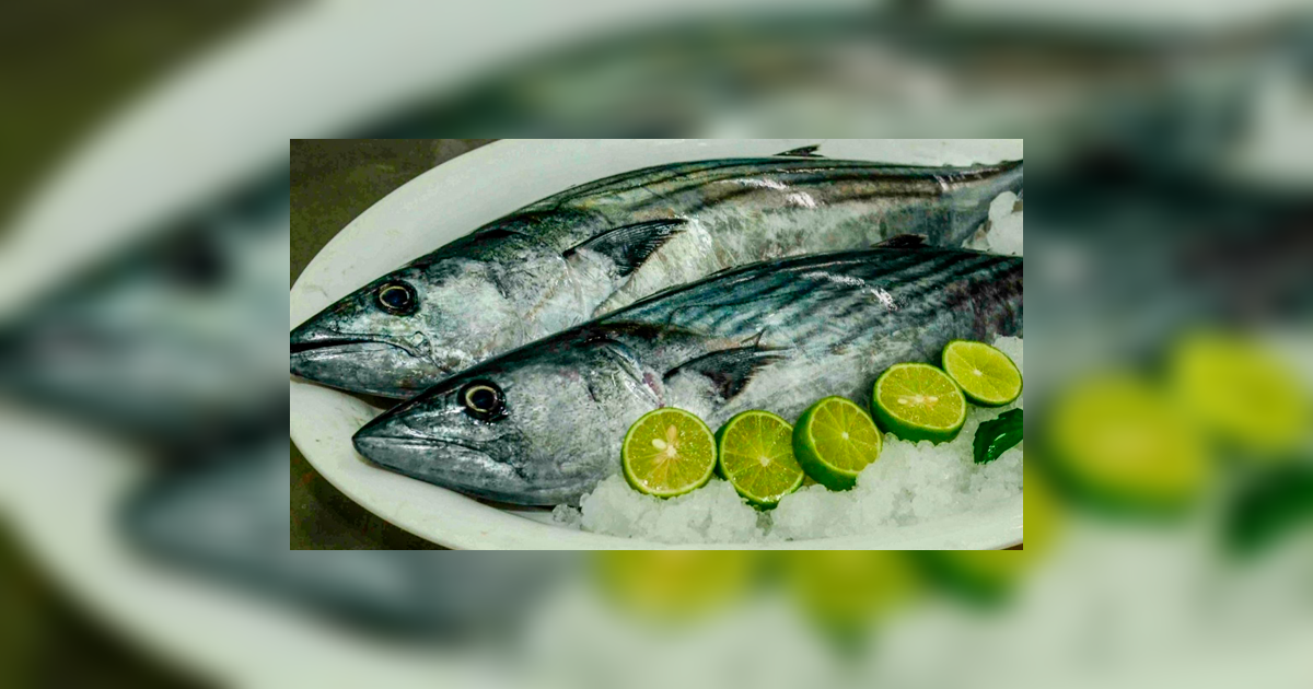 Los beneficios de consumir pescado bonito