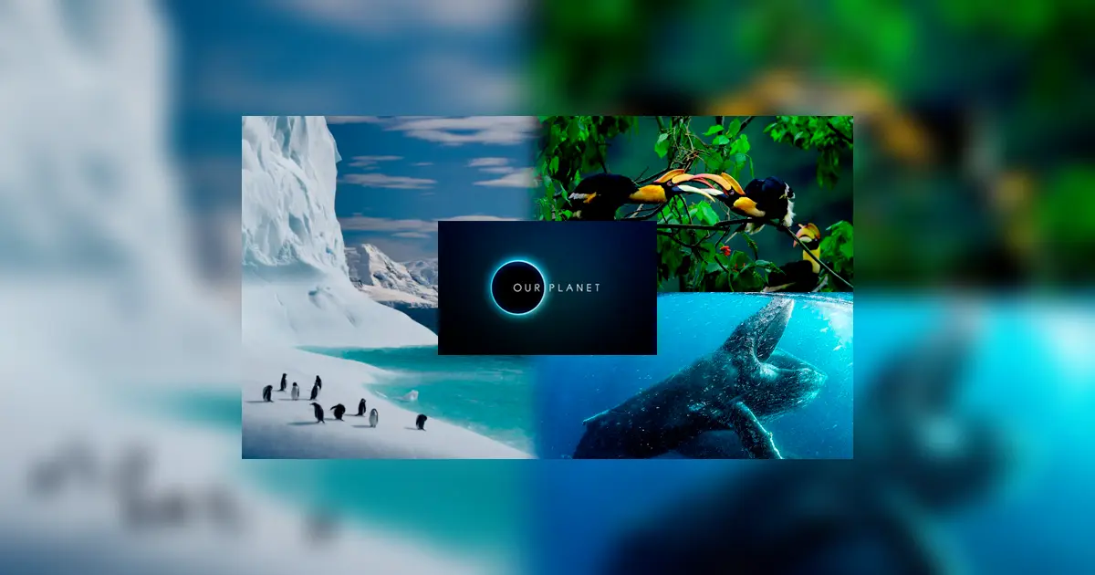 Our Planet: el nuevo documental de Netflix que impulsa el cuidado del ...