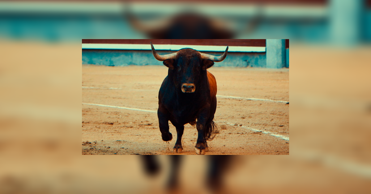 ¿Apareció un toro en tus sueños? Este es su significado