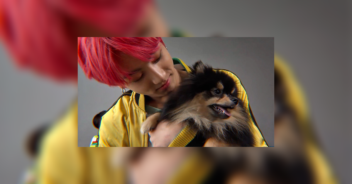 La raza de ‘Tannie’ es tendencia gracias a los fans de BTS en Perú