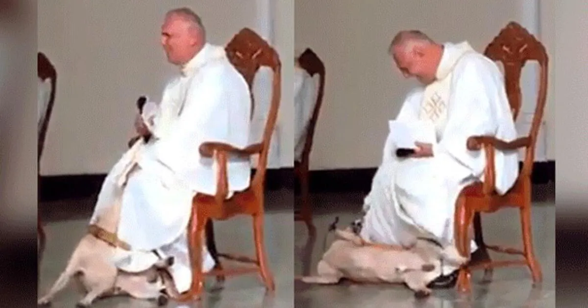 Mira el tierno momento de un sacerdote acariciando a perro en misa [VIDEO]