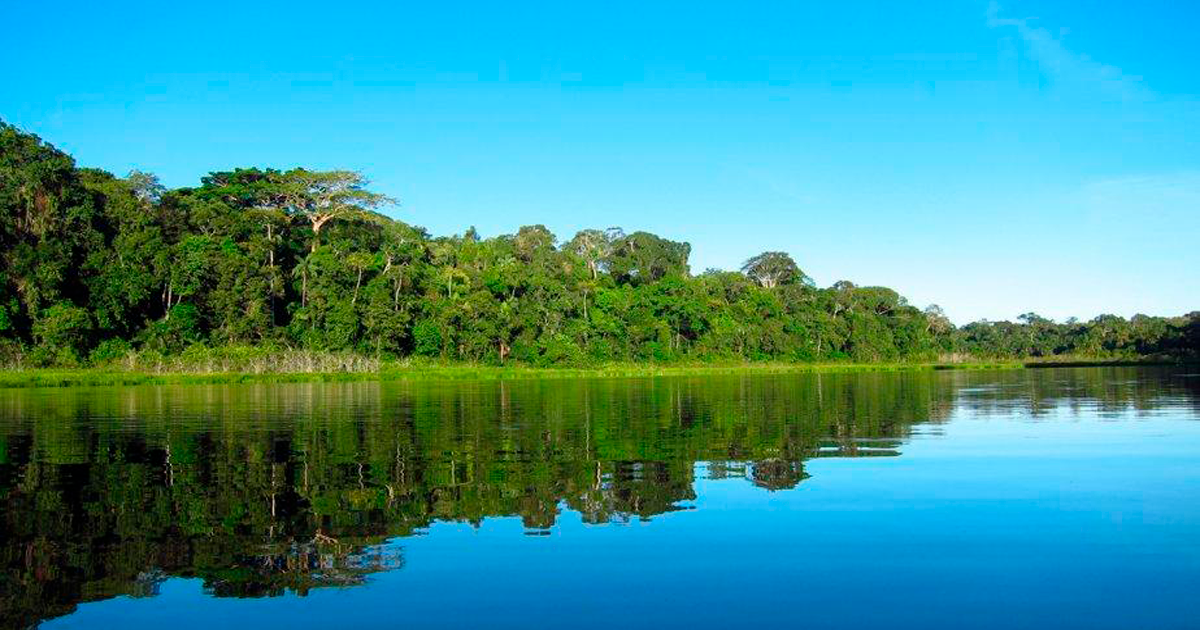 Conoce los 5 mejores destinos turísticos de la selva peruana