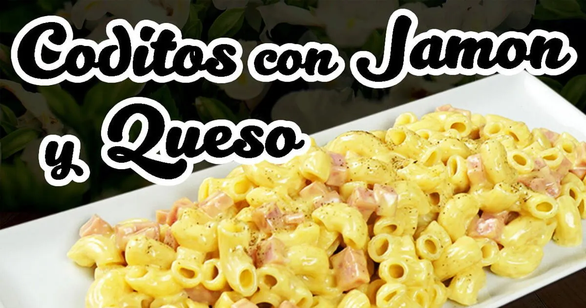 Prepara unos deliciosos coditos con jamón y queso para engreír a la familia