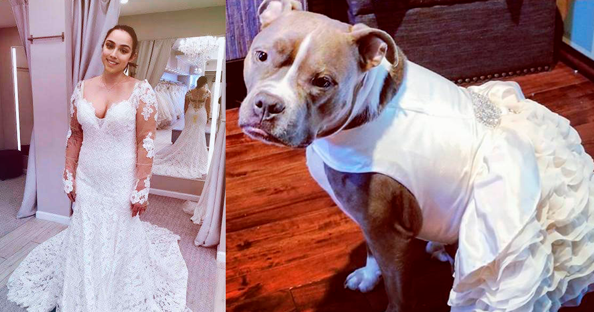 Ama tanto a su perrita que le compró un vestido de dama de honor para ...