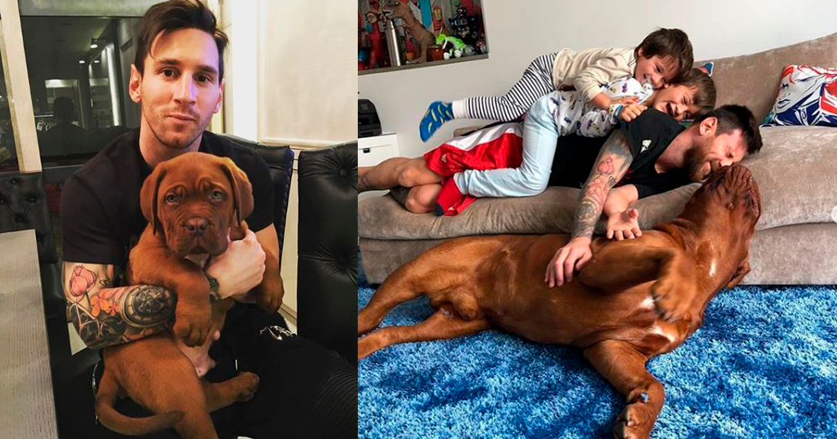Conoce al hermoso perrito de Lionel Messi que es tan grande como su dueño