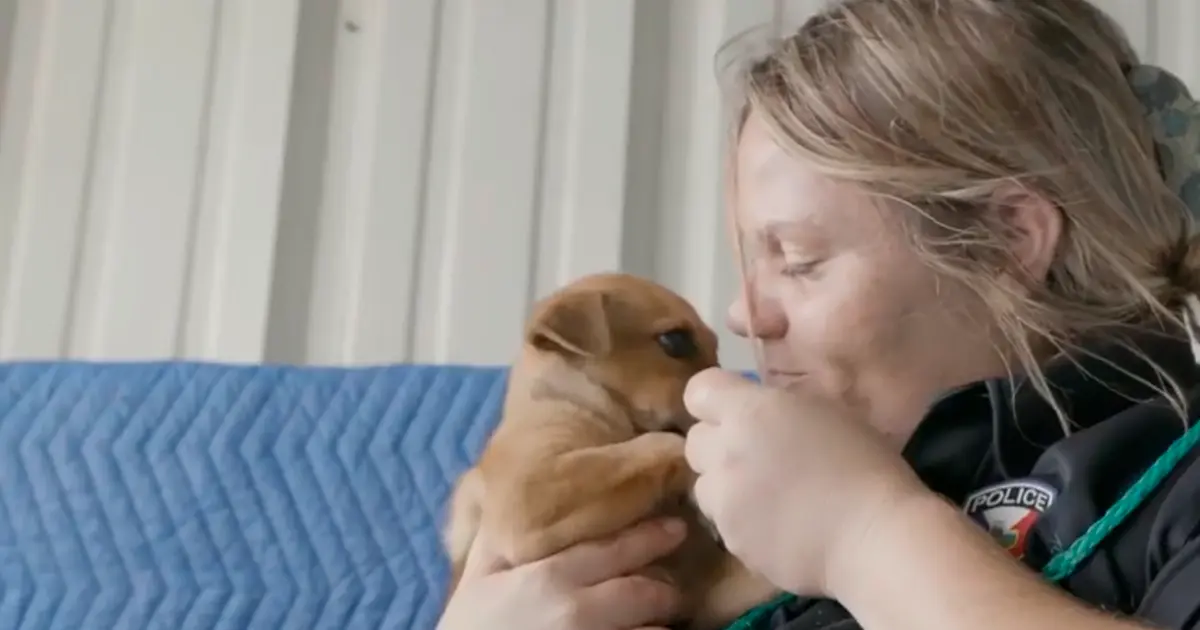 Kayla, la mujer que dejó su profesión para tomar un refugio de animales