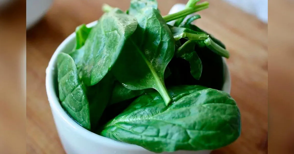 Espinaca: El superalimento que ayuda a fortalecer nuestro sistema inmune