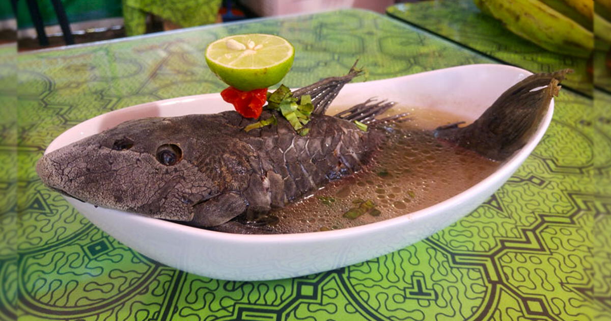 Caldo de carachama: prepara este nutritivo y exótico platillo amazónico