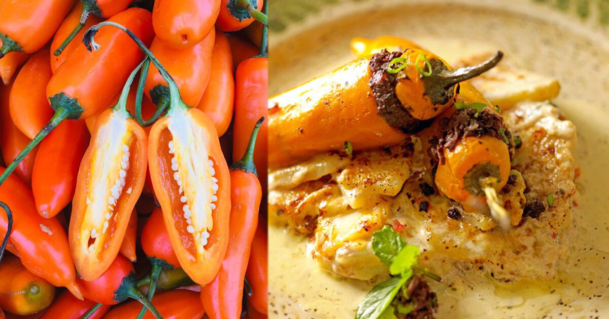 Ajíes rellenos: Una receta picante que promete cautivar el paladar más ...