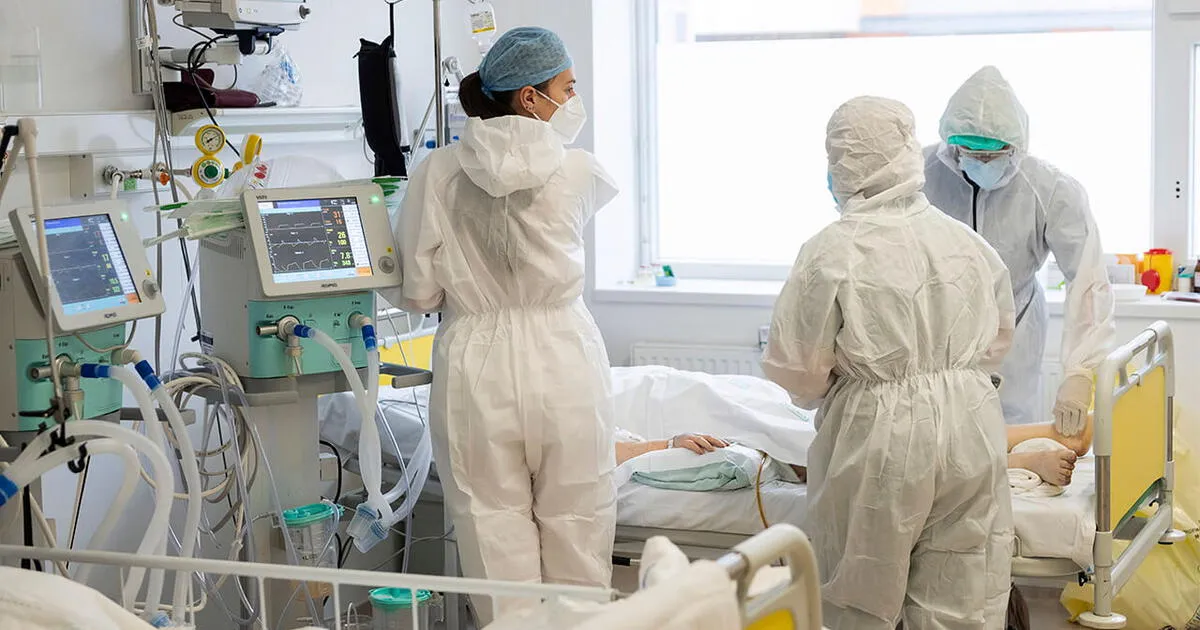 OMS: La pandemia supera los 60 millones de casos por COVID-19