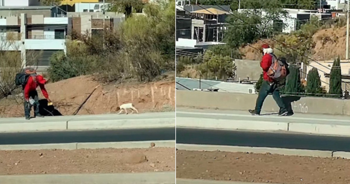 Joven decide cargar a su perrito cansado tras recorrer un largo trayecto