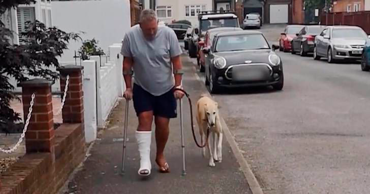 Hombre gasta 300 euros para examinar a su perro "cojo" y descubre que ...