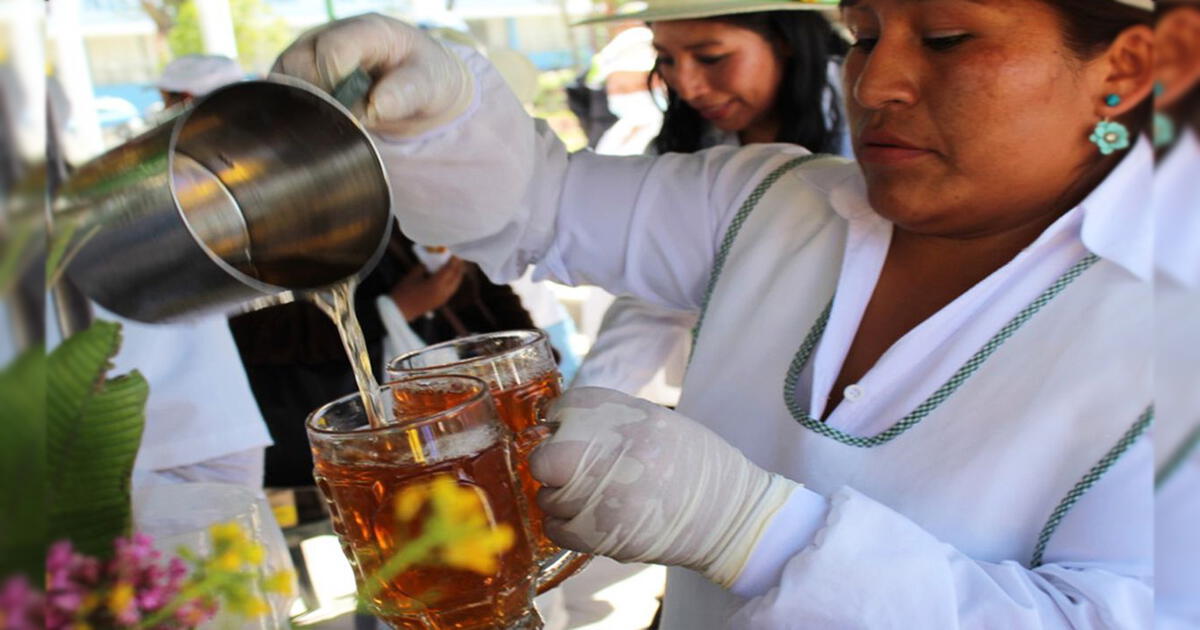 Emoliente: ¿Qué propiedades medicinales posee cada uno de sus ingredientes?