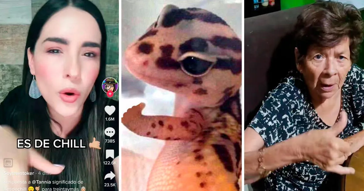 “Es de chill”: ¿qué significa la expresión que ahora es viral en TikTok?