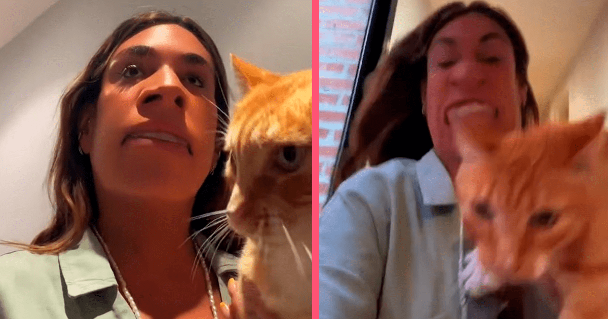 MASCOTAS: Intento de secuestro de gato genera risas en TikTok