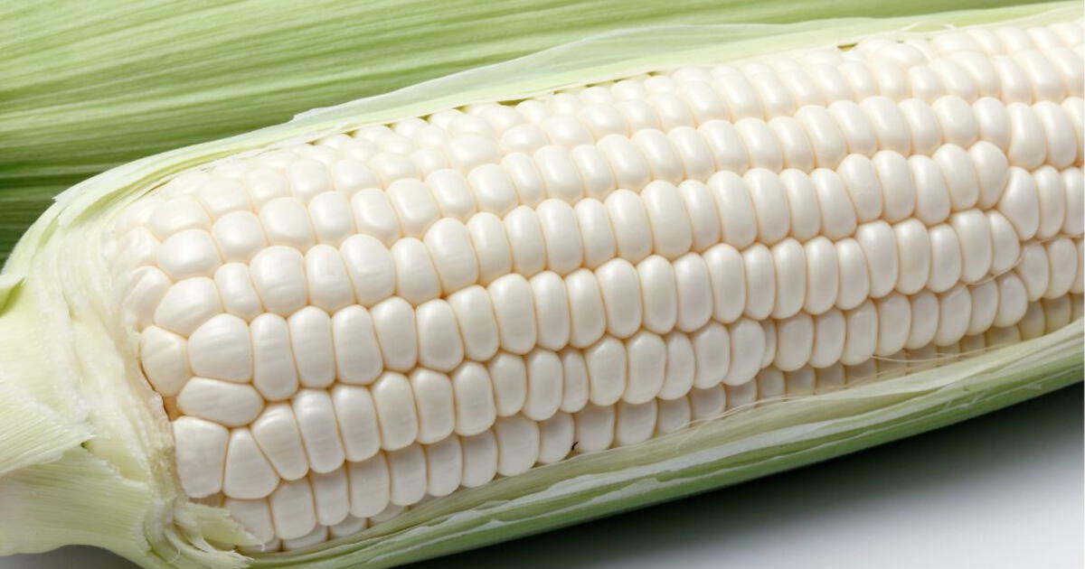 ¿Cómo lograr que el choclo quede suave y con un rico sabor? Descubre la ...