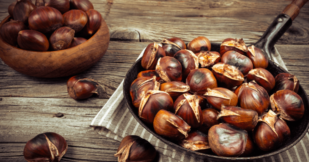 Consume castaña para reforzar tu sistema cardiovascular y combatir el ...