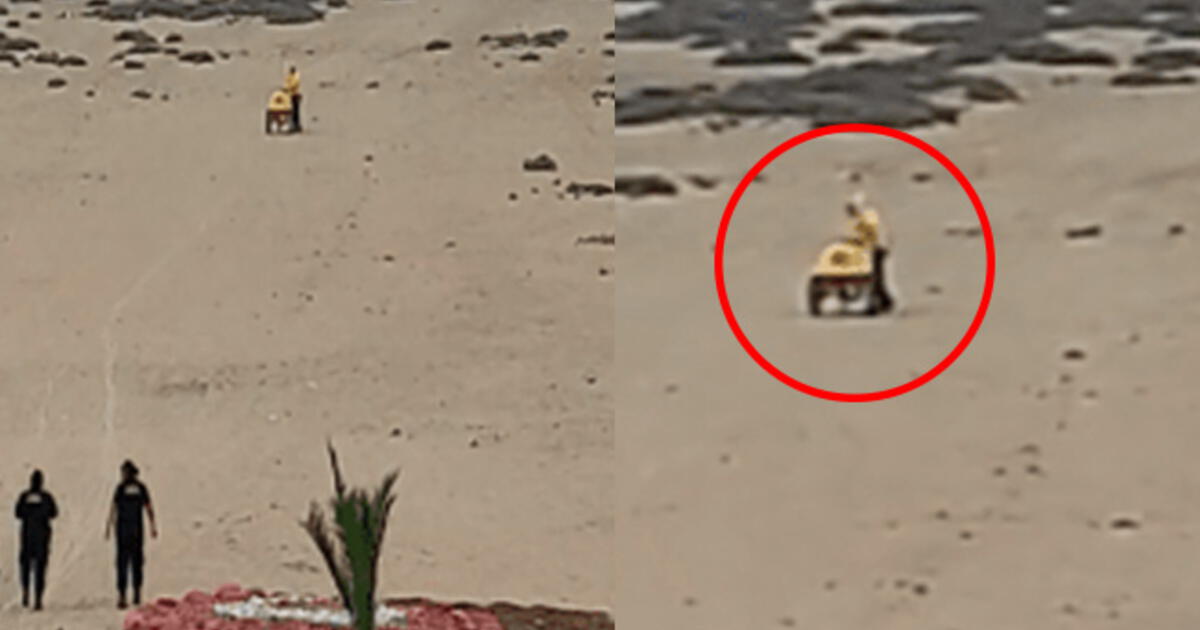 Heladero de D'onofrio llega hasta la frontera de Perú y Chile para ...