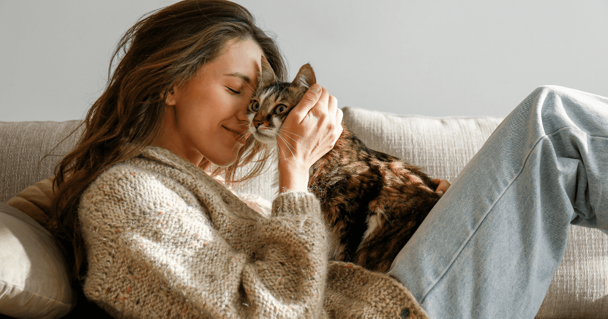 Amor felino: ¿Por qué cada 8 de agosto se celebra el Día Internacional ...