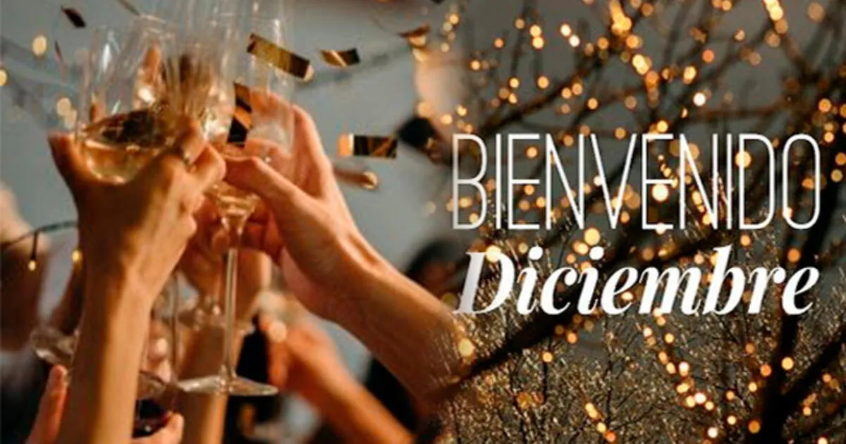 50 FRASES positivas y bonitas para recibir diciembre: mensajes cortos ...