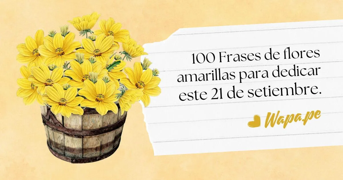 100 Frases Bonitas para Celebrar el Día de las Flores Amarillas: Amor ...