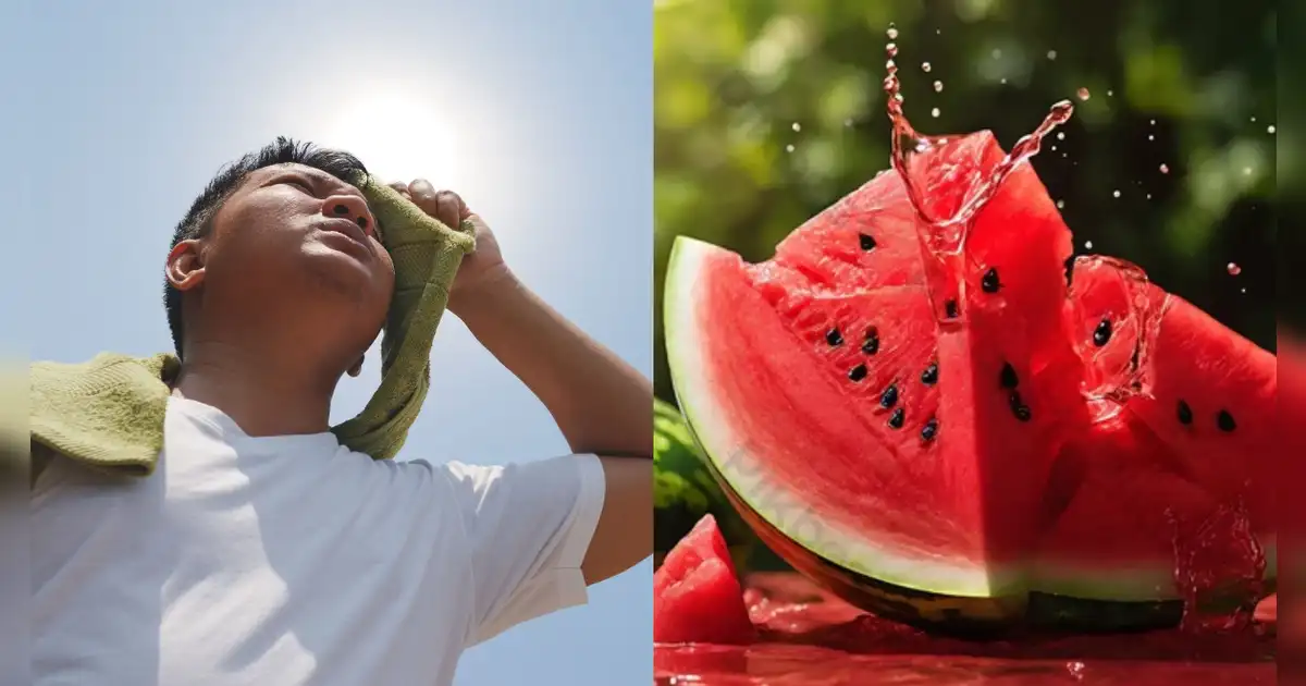Ola de calor: estas 7 frutas con alto contenido de agua ayudan a ...