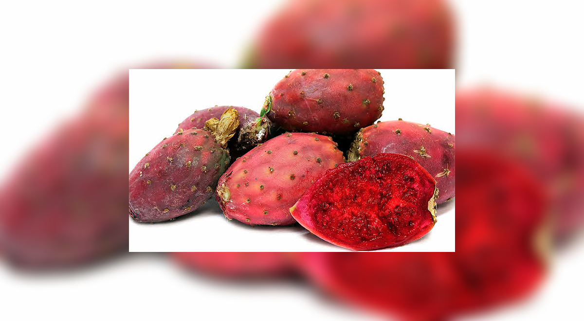 Estos son los sorprendentes beneficios de la tuna para tu salud