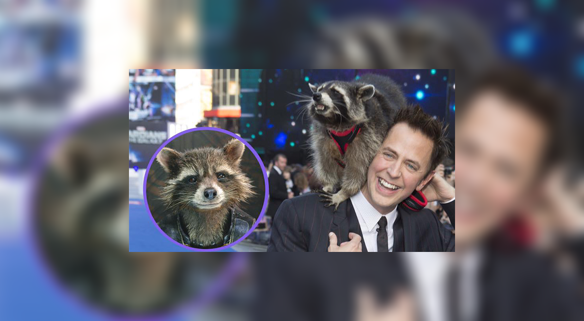 7 Fotos para despedir al mapache que interpretó a Rocket en las cintas ...