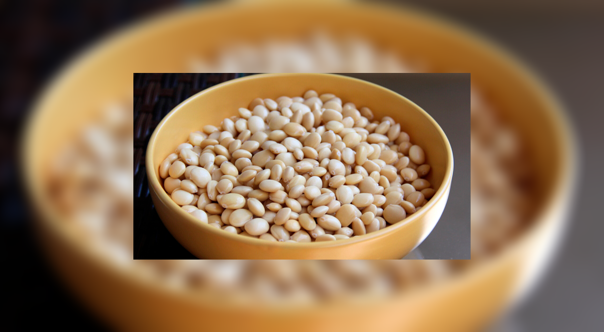 Chocho o tarwi: el milenario alimento de los Andes