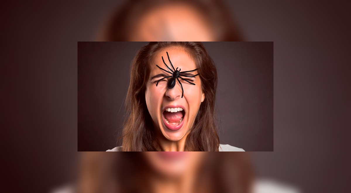 Fobia: conoce los miedos más grandes que sufren los limeños y cómo ...