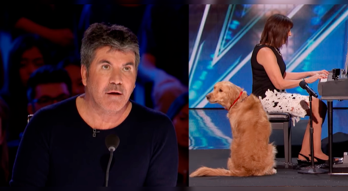 Canto de perrito en America's Got Talent deja impactado a Simon Cowell ...