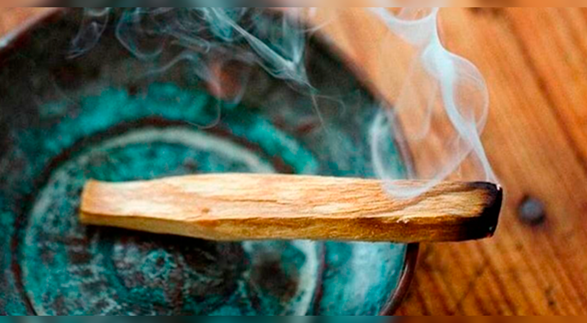 Palo santo: conoce los usos y beneficios de esta mágica planta