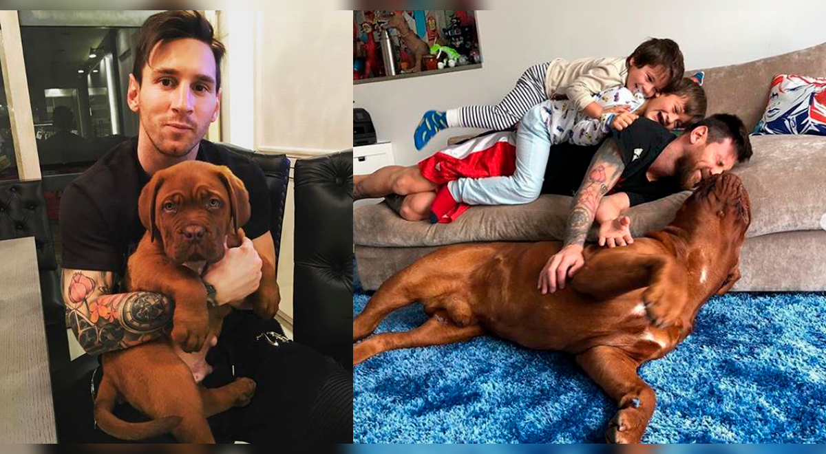Conoce al hermoso perrito de Lionel Messi que es tan grande como su dueño