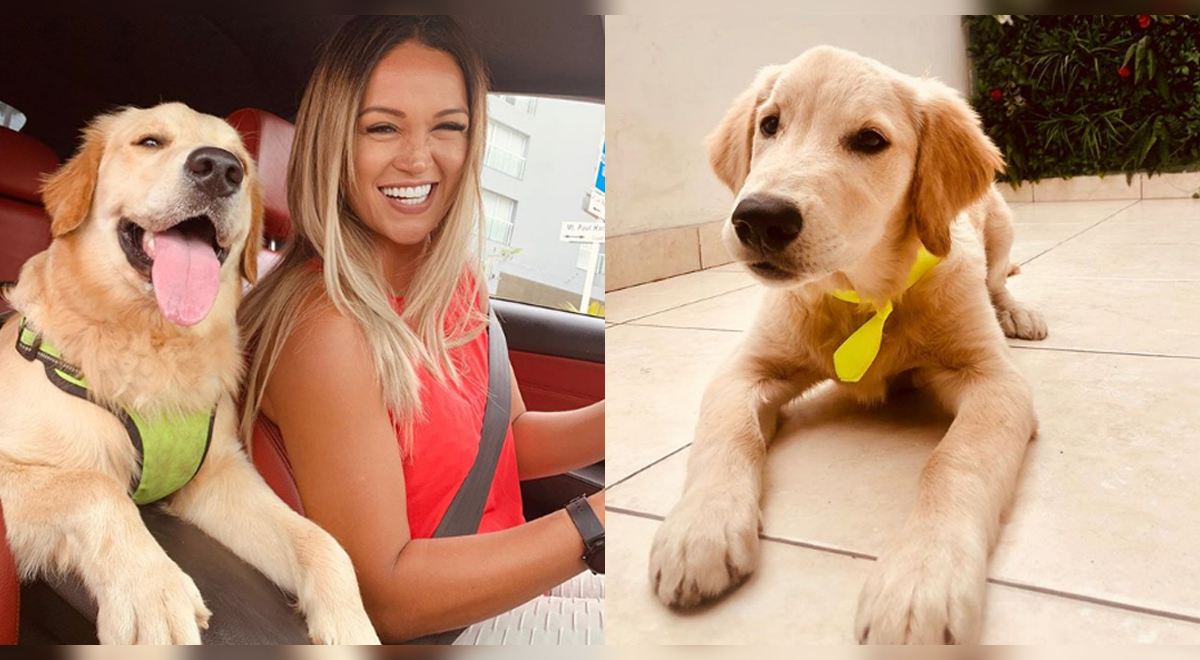 Thor, el hermoso “bebé” de Angie Arizaga que conquistó las redes sociales