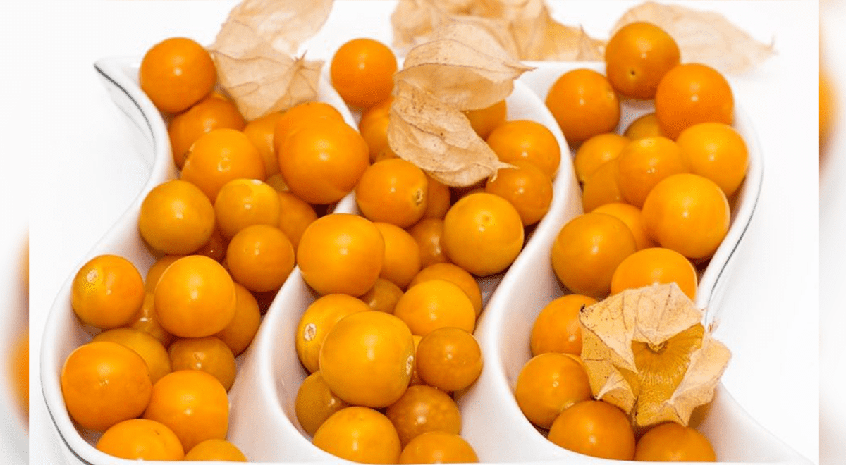 Aguaymanto: el mejor aliado para reforzar el sistema inmune y proteger ...