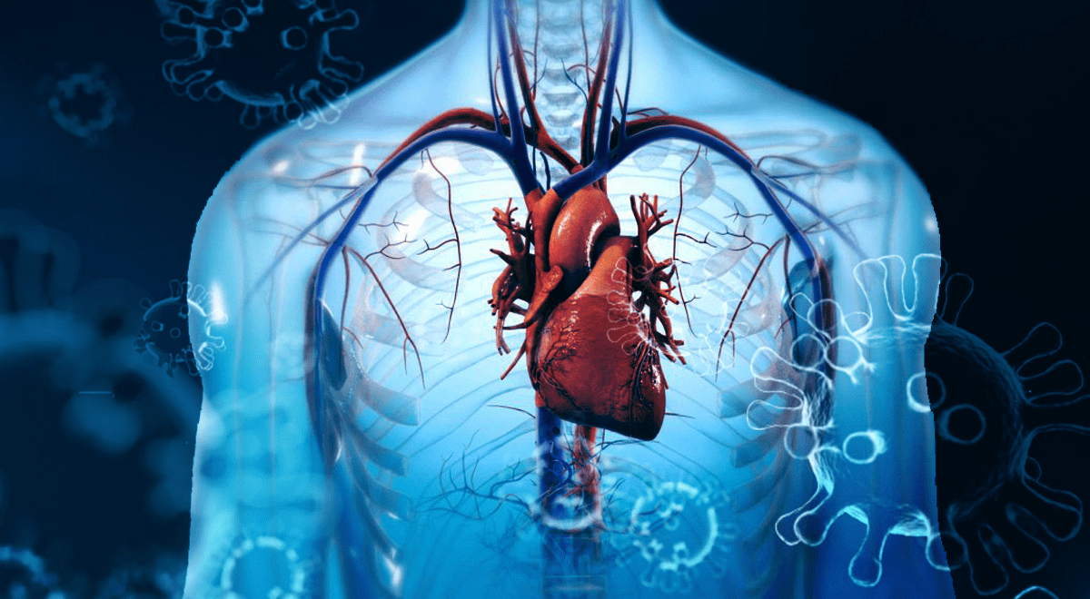 El coronavirus daña el corazón, incluso en pacientes jóvenes con ...