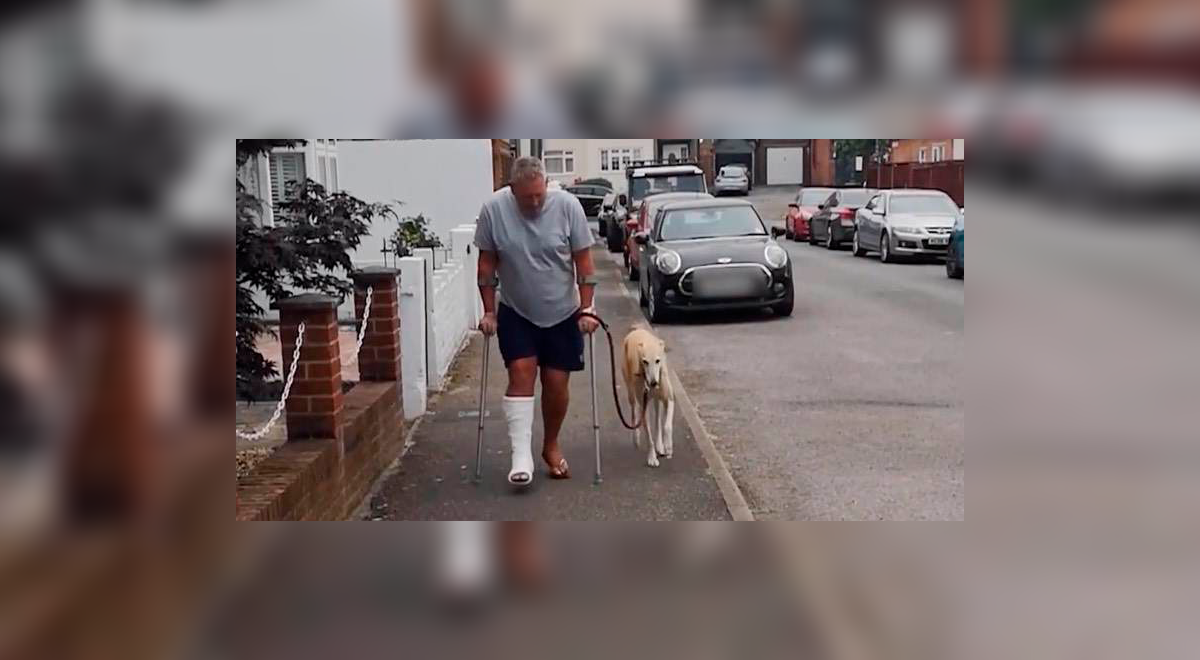 Hombre gasta 300 euros para examinar a su perro "cojo" y descubre que ...
