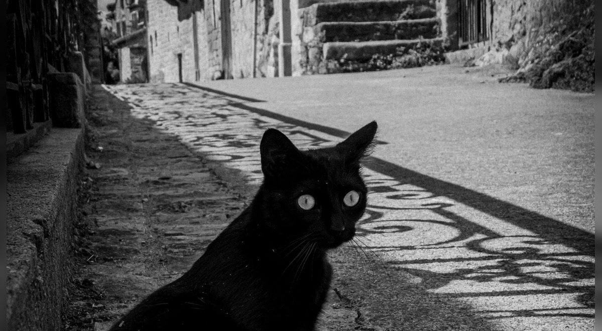 ¿Qué son las supersticiones y cómo se involucran en la vida cotidiana?