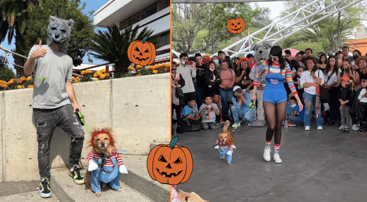 Luisito Comunica cautiva con su perrito disfrazado de 'Chucky' por ...