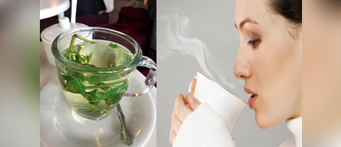 Cinco beneficios de la Muña que no conocías