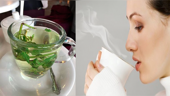 Cinco beneficios de la Muña que no conocías