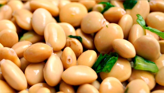 Cuatro beneficios del chocho en la salud que debes conocer