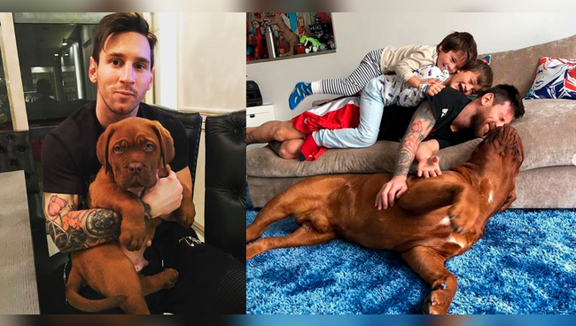 Conoce al hermoso perrito de Lionel Messi que es tan grande como su dueño